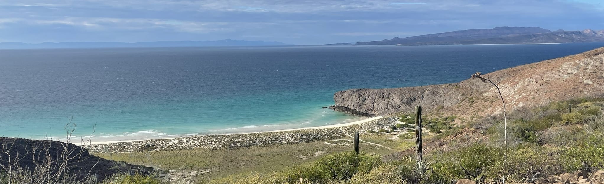 Playa Balandra Norte | Mapa, Guía - Baja California Sur, Mexico | AllTrails