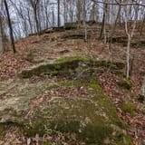Patton Cave Loop Via Grubb Ridge, Indiana - 273 Reviews, Map | AllTrails