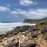 Palm Jungle Loop Track, New South Wales, Australia - 339 Reviews, Map ...