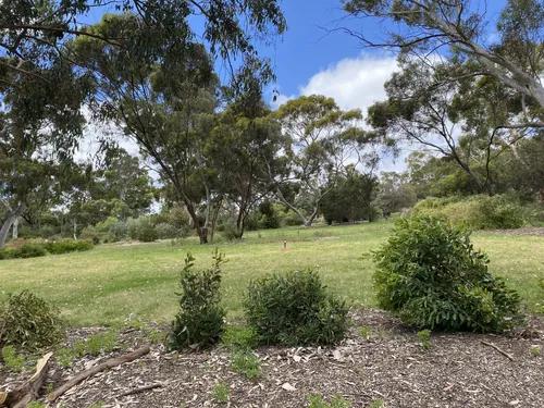 Best Hikes and Trails in Wittunga Botanic Gardens | AllTrails