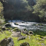 Pearse Valley Resurgence, Nelson-Tasman, New Zealand - 8 Reviews, Map ...