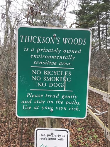 2023 Best trails in Thickson's Woods Nature Reserve | AllTrails