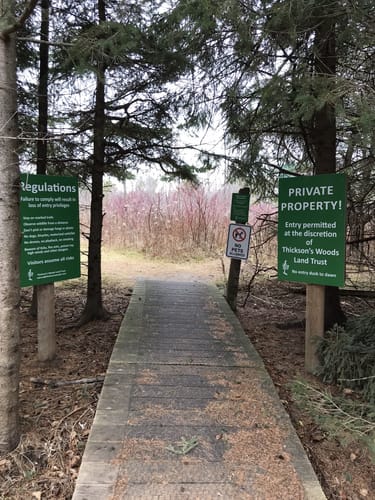 2023 Best trails in Thickson's Woods Nature Reserve | AllTrails