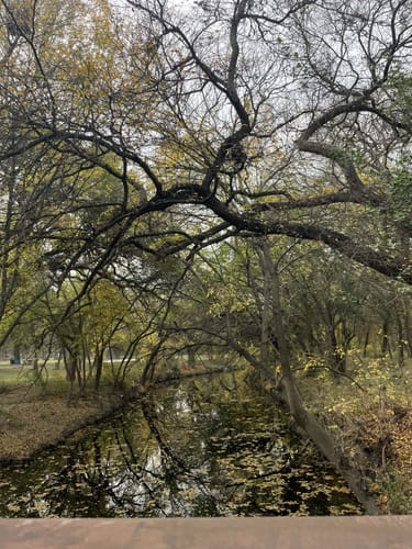 Best Hikes and Trails in Olmos Basin Park | AllTrails