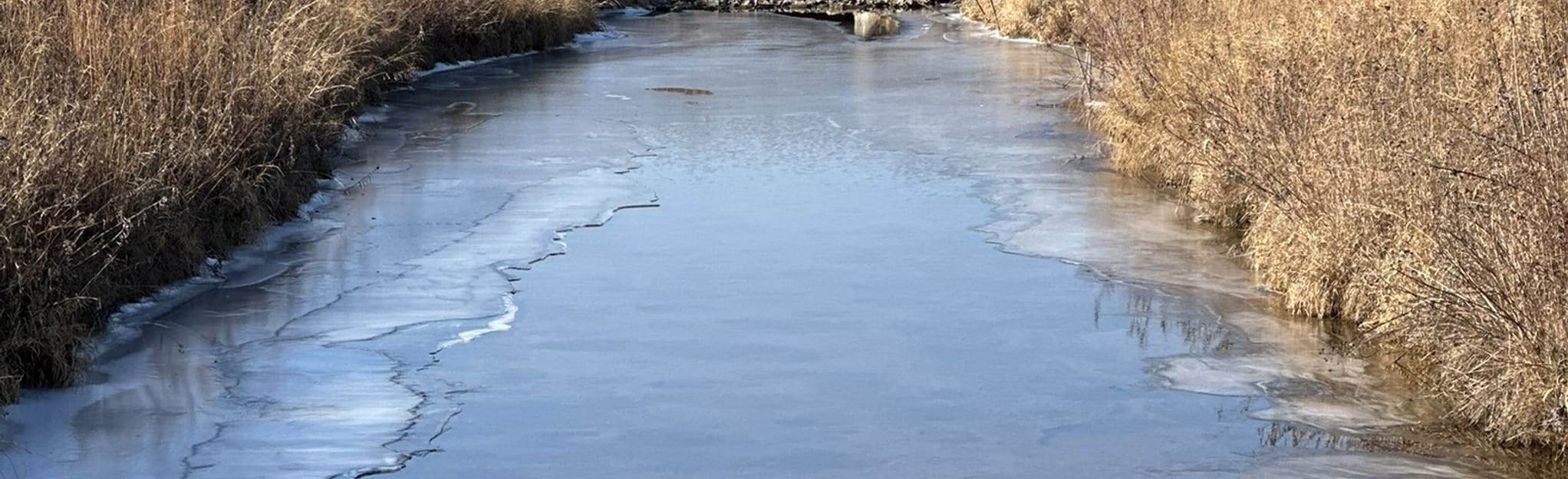 Apple Creek Trail: 77 Reviews, Map - Wisconsin | AllTrails