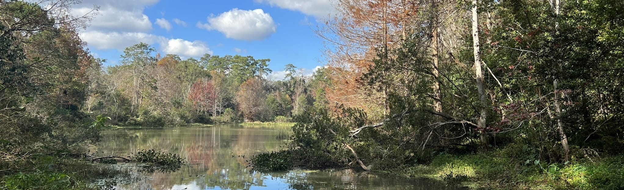 Turtle Creek Trail: 27 Reviews, Map - Florida | AllTrails