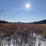 Arcola Bluffs Trail, Minnesota - 192 Reviews, Map | AllTrails
