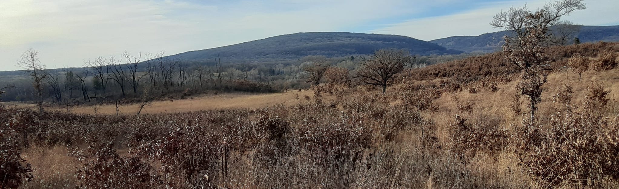 Ice Age, Oak Savannah, Prairie View, and Carbon Cycle Loop: 21 Reviews ...