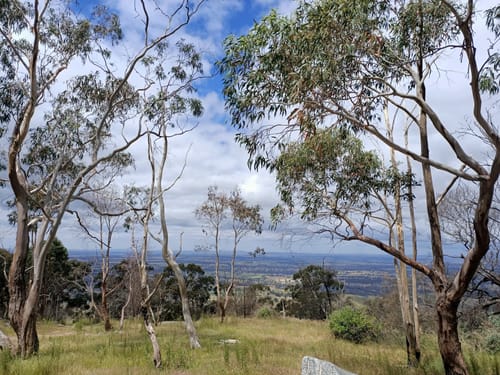 Best 10 Hikes and Trails in Bendigo Regional Park | AllTrails