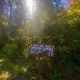 Tioga West Rim Trail, Pennsylvania - 521 Reviews, Map | AllTrails