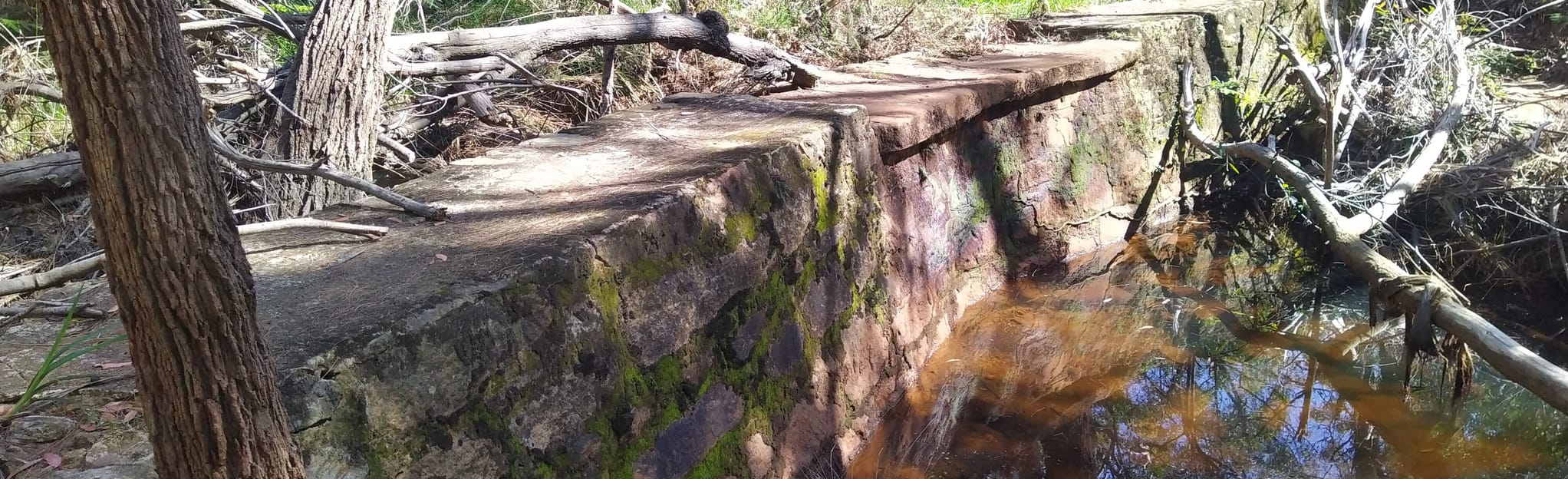 Loftus Trail Running Loop, New South Wales, Australia - 63 Reviews, Map ...