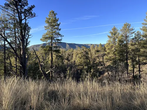 10 Best Trails and Hikes in Pine | AllTrails