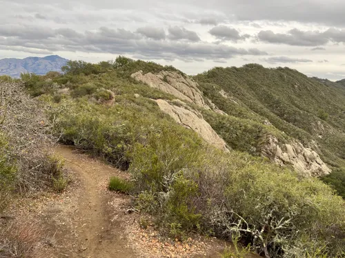 10 Best Trails and Hikes in San Ramon | AllTrails