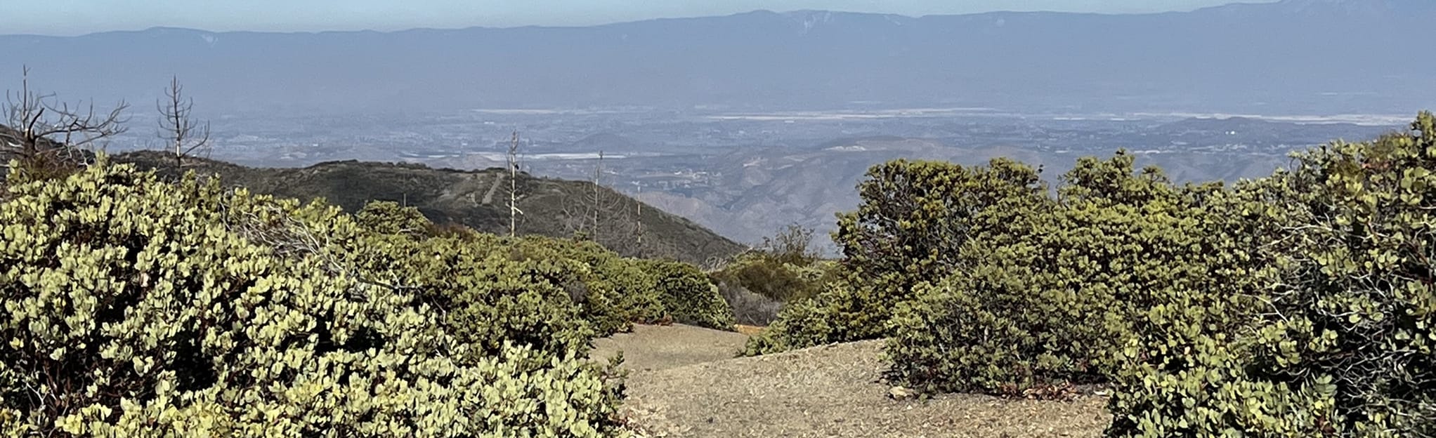 Trabuco, Bell, Yeager Loop Trail: 8 Reviews, Map - California | AllTrails