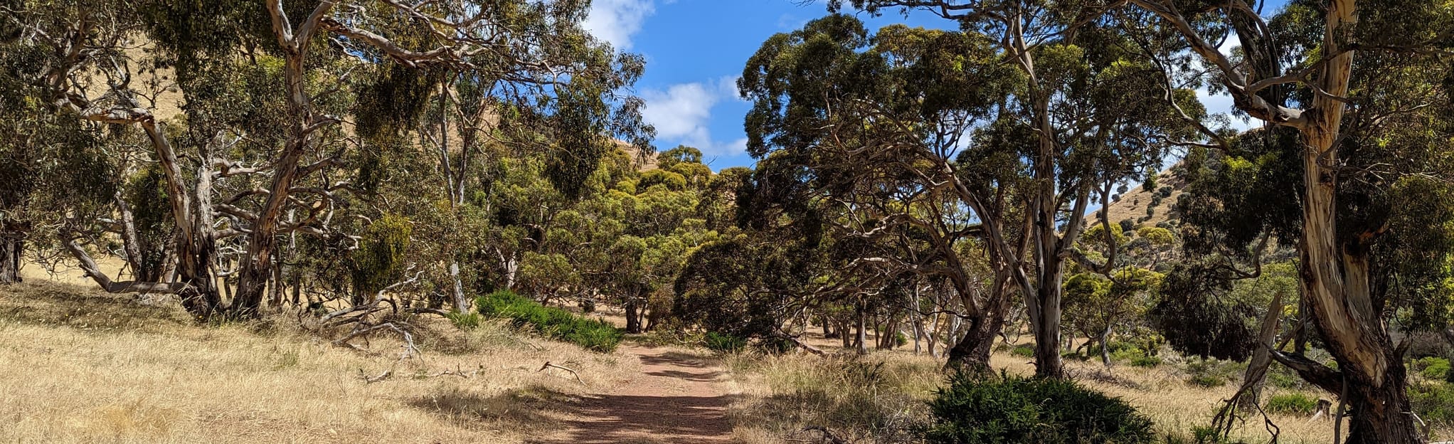 Big Gorge Walk: 25 Reviews, Map - South Australia, Australia | AllTrails