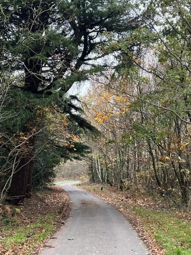 Best Hikes and Trails in Parkhurst Forest | AllTrails