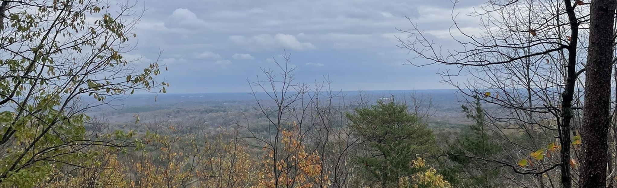 Firetower, Kanuga and Brissy Ridge Loop: 388 Reviews, Map - South ...