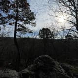 Coon Ridge Trail, Oklahoma - 331 Reviews, Map | AllTrails