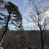 Coon Ridge Trail, Oklahoma - 331 Reviews, Map | AllTrails