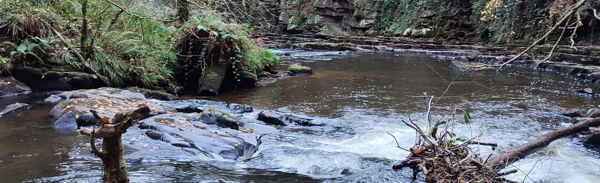 Clare Glens Blue Loop, County Tipperary, Ireland - 198 Reviews, Map ...