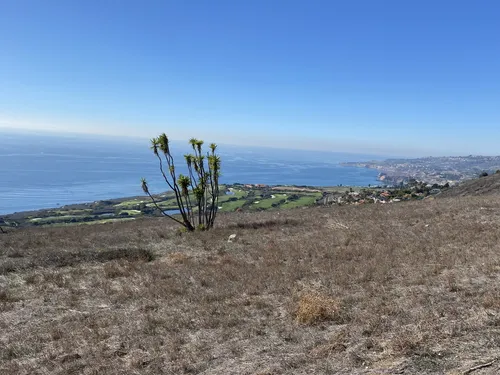 Best Hikes and Trails in San Ramon Reserve | AllTrails