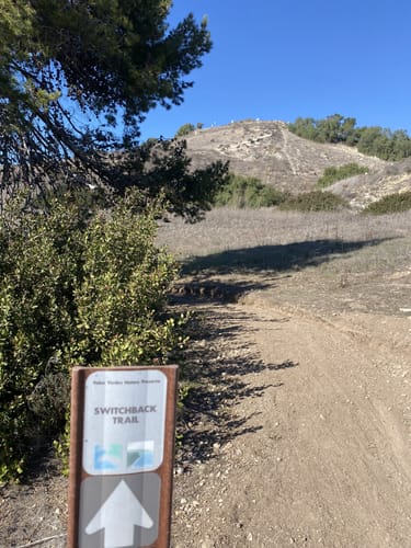 Best Hikes and Trails in San Ramon Reserve | AllTrails