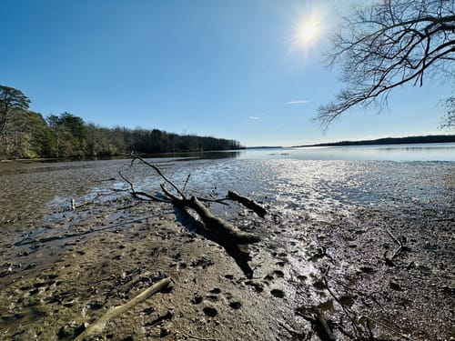 2023 Best River Trails in Jug Bay Wetlands Sanctuary | AllTrails