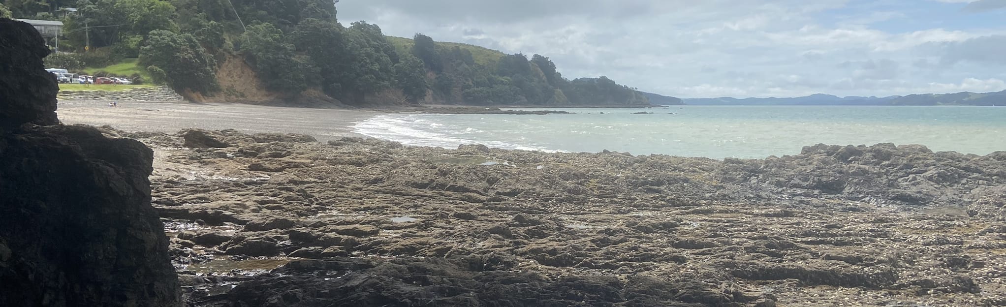 Tawhitokino Beach Path, Auckland, New Zealand - 16 Reviews, Map | AllTrails