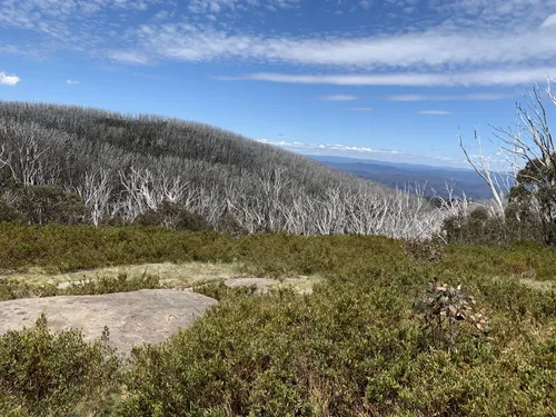 Best Historic Site Trails in Yarra Ranges National Park | AllTrails