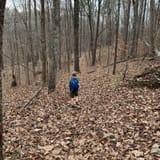 Tree Top Nature Trail, Alabama - 261 Reviews, Map | AllTrails