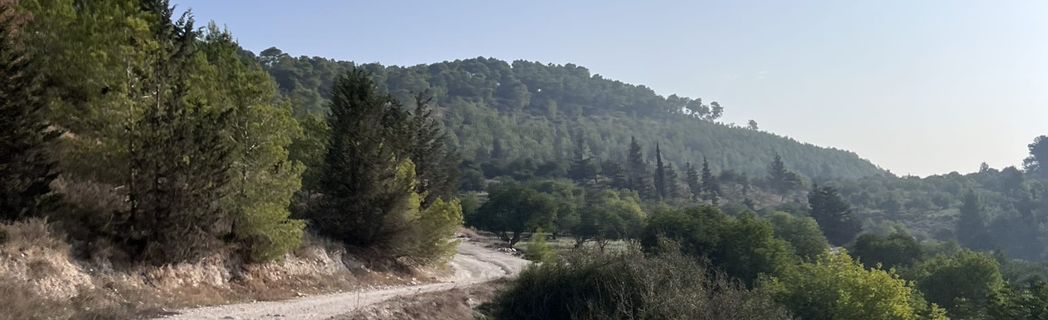 Eshtaol Forest, Tzora Forest and Shiri Lookout: 55 foto's - Jerusalem ...