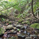 Cross Island Track and The Needle, Rarotonga, Cook Islands - 128 ...