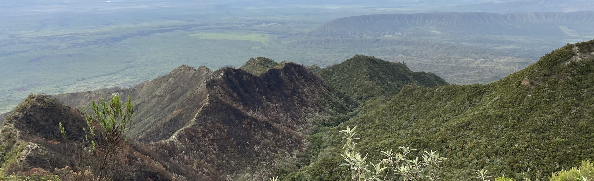 Mount Longonot: 120 Reviews, Map - Rift Valley, Kenya | AllTrails