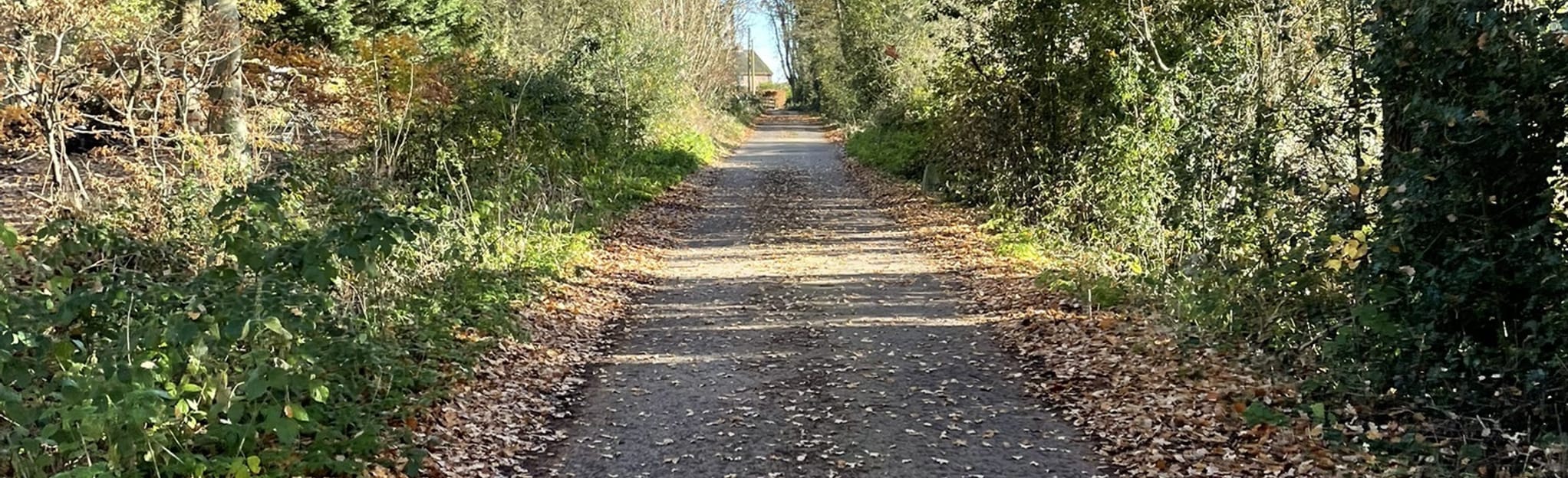 Finchampstead and Fleet Hill: 109 Reviews, Map - Berkshire, England ...