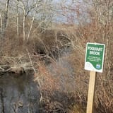 Watchaug Pond, Rhode Island - 62 Reviews, Map | AllTrails