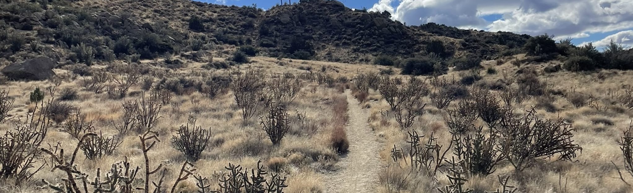 Sandia Foothills Double Loop: 99 Reviews, Map - New Mexico | AllTrails