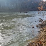 Goat Bluff Trail, Arkansas - 119 Reviews, Map | AllTrails