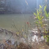 Goat Bluff Trail, Arkansas - 119 Reviews, Map | AllTrails