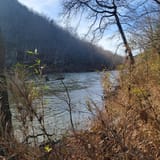 Goat Bluff Trail, Arkansas - 119 Reviews, Map | AllTrails