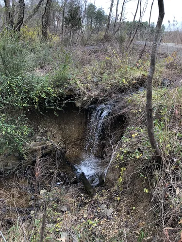 Best Hikes and Trails in Laurel Springs Regional Park | AllTrails