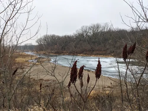 Best Hikes and Trails in Cold Springs State Park | AllTrails