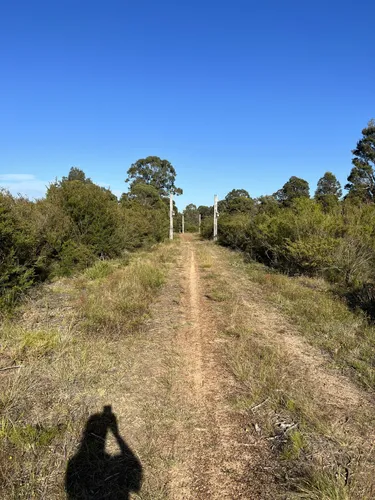 Best Walking Trails in Penrith | AllTrails