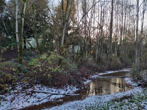 Best Hikes and Trails in Black River Riparian Forest | AllTrails