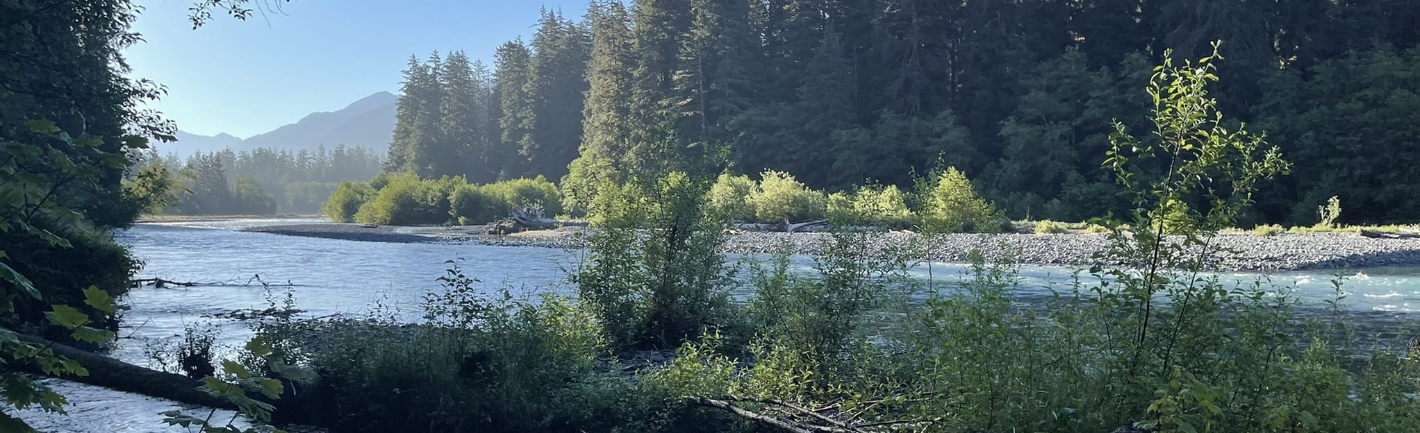 Olympus Guard Station via Hoh River Trail: 4.657 foto's - Washington ...