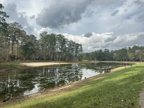 10 Best Hikes and Trails in Sam Houston National Forest | AllTrails