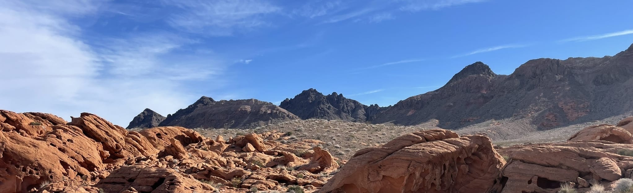 Redstone Discovery Trail: 33 Reviews, Map - Nevada | AllTrails