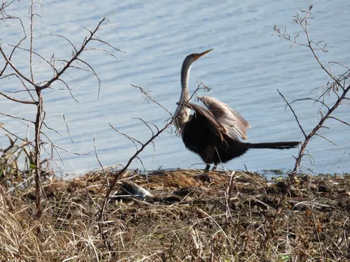 Best Hikes and Trails in TM Goodwin Waterfowl Management Area | AllTrails