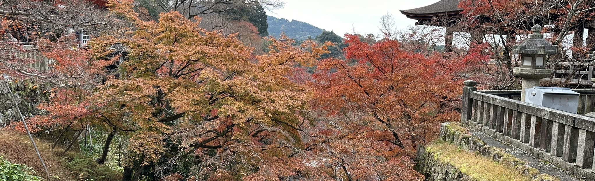Kiyomizu-dera Temple - Seikanji Temple - Kyoto, Japan | AllTrails