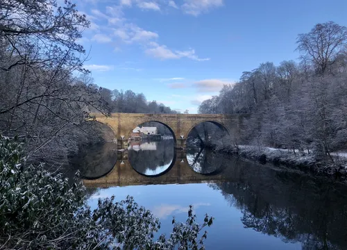 10 Best Trails, Walks, and Paths in Durham | AllTrails