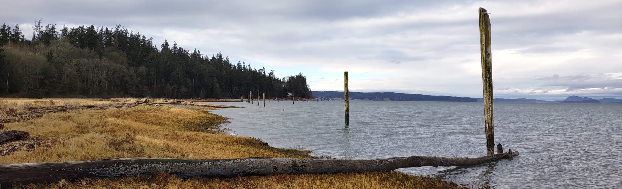 English Boom Trail, Washington - 67 Reviews, Map | AllTrails